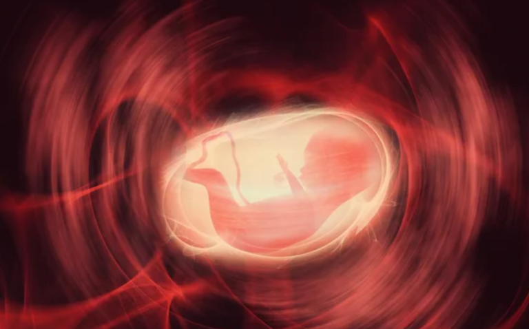 How Does EMF Affect the Fetus? - EMF Empowerment